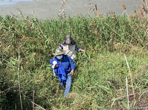 救援翅膀受傷骨折黑琵 台南學甲濕地旁邊魚塭長期監控 Ettoday寵物雲 Ettoday新聞雲