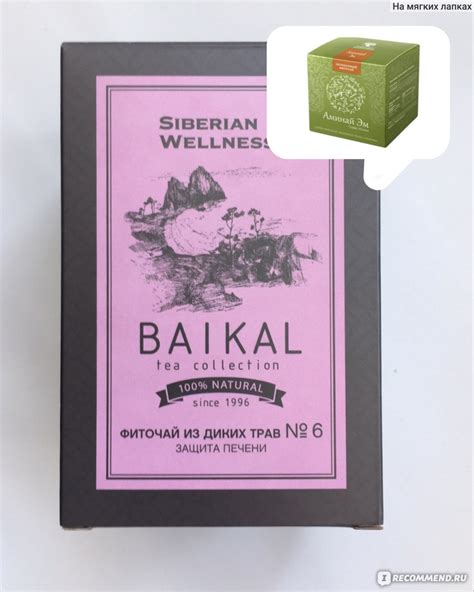Травяной чай Siberian Wellness (Сибирское здоровье) Baikal tea ...