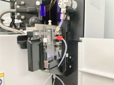 Agilent 5200 Fragment Analyzer 2023 The Lab World Group