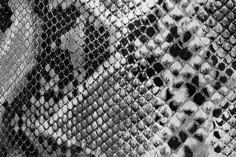 무료 이미지 검정색과 흰색 화이트 가죽 조직 웨이브 무늬 선 인쇄 거칠게 비열한 검은 단색화 천 자료