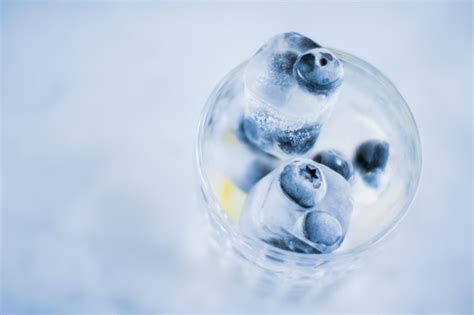 Premium Photo Cocktail With Blueberry Ice And Lemon Drinks Cocktails