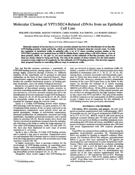 Pdf Molecular Cloning Of Ypt1sec4 Related Cdnas From Epithelial Cell