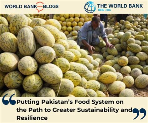 Putting Pakistans Food System On The Path To Greater Sustainability