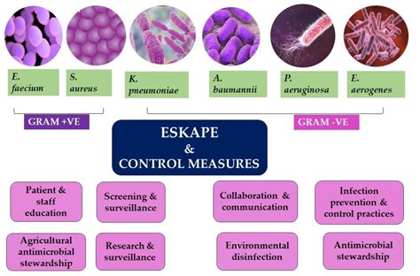 Eskape Navigating The Global Battlefield For Antimicrobial Resistance And Defense In Hospitals