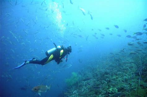 2025 Promo 3d2n Pangkor Sandy Beach Resort Snorkeling Package