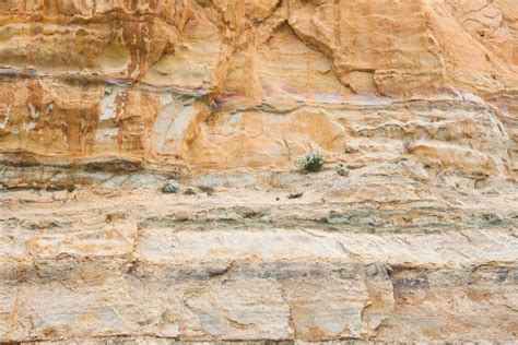 Different Soil Texture Layers Stock Photo Image 24017370