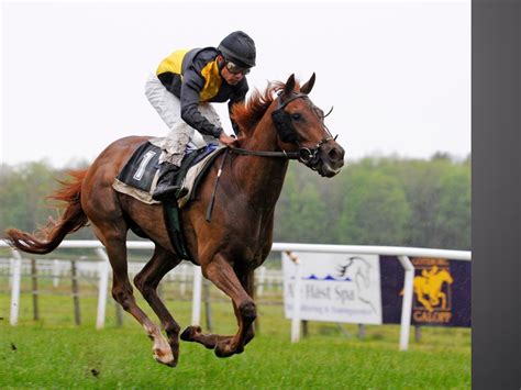 【阪神大賞典2023予想】危険な人気馬と超絶穴馬はこれだ！トミジュン的指標 トミジュンブログ