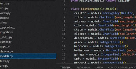 ¿por Qué Aprender A Programar En Python Alejandro Jourdan