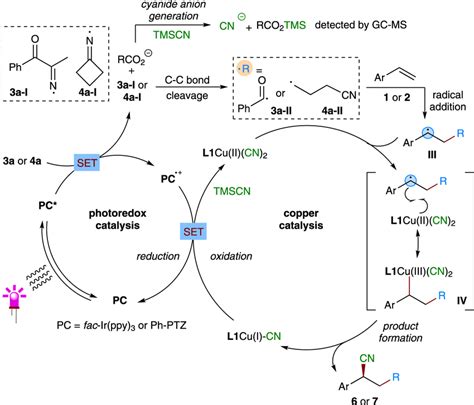 What Is Electron Transfer Chemistry At Anton Thomas Blog