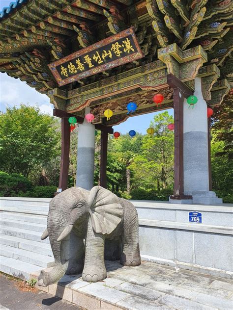 제주여행 8일차 마지막날 자구리공원 일출 한라산 조망의 선덕사 네이버 블로그