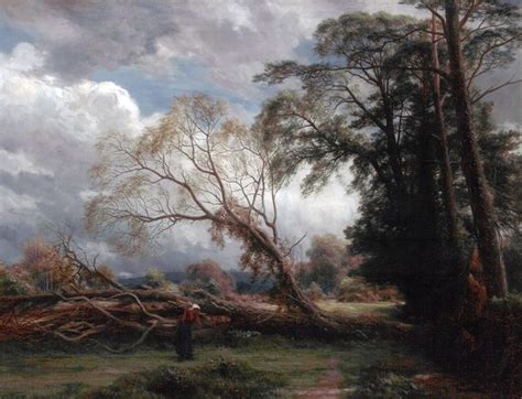 The Fallen Tree Johnson Charles Edward Bikgm1371 Ehive