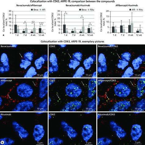 Relative Number Of Co Localization Between Cd63 And Bevacizumab