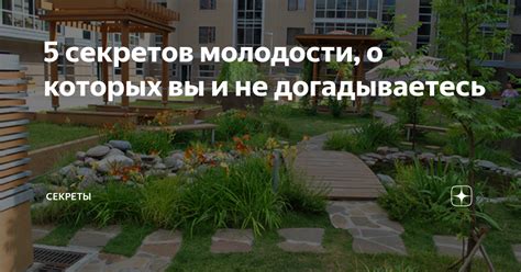 5 секретов молодости, о которых вы и не догадываетесь | Секреты | Дзен