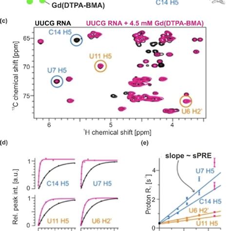 Spres Can Be Used As Restraints In Rna Structure Determination A Download Scientific Diagram