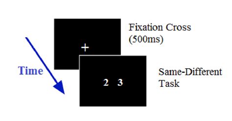Mean Response Times Of Three Conditions Download Scientific Diagram