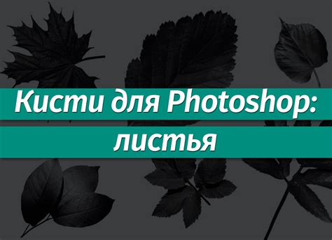 Наборы кистей для Фотошопа листья