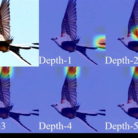 Top 1 Accuracy Of A Vit Net With Effect Of The Depth Of The Neural Tree