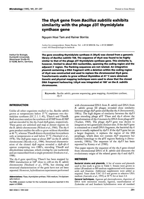 Pdf The Thya Gene From Bacillus Subtilis Exhibits Similarity With The Phage ∅3t Thymidylate