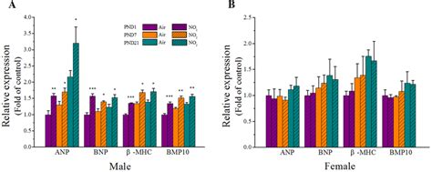 the mrna expression of anp bnp β mhc and bmp10 from the heart of