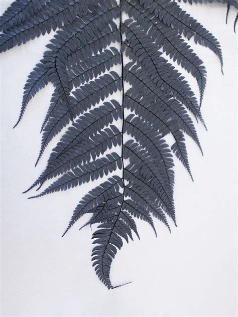 Папороть лісова стабілізована темно синя 60 см купити в Україні за низькою ціною • Dfb Elements