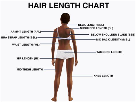 Hair De La Crème Hair Length Chart And Site Acronyms