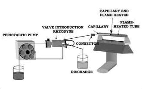 Schematic Arrangement Of Ts Ff Aas System 4 Download Scientific Diagram