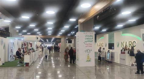 رؤيا الإخباري افتتاح مهرجان الزيتون في الأردن