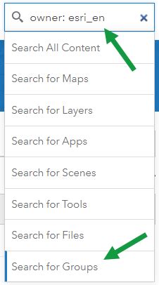 Combining Esri Default Raster Basemaps With Vector Basemaps