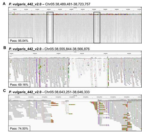 Crispr Cas9 Mediated Enrichment Coupled To Nanopore Sequencing Provides A Valuable Tool For The