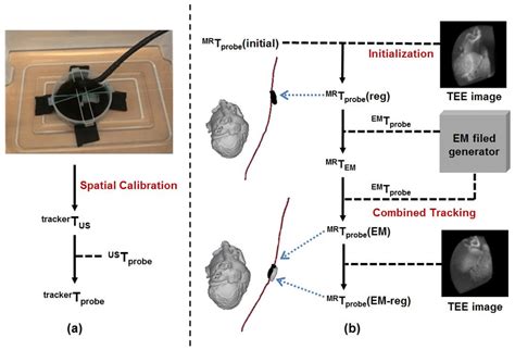 A Experimental Setup And Workflow For The Calibration Of The Probe