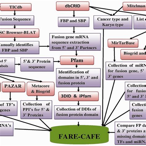 FARE CAFE Methodology Workflow Download Scientific Diagram