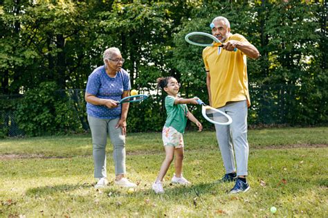 손자와 함께하는 조부모의 역할 3 명에 대한 스톡 사진 및 기타 이미지 3 명 6 7 살 60 64세 Istock