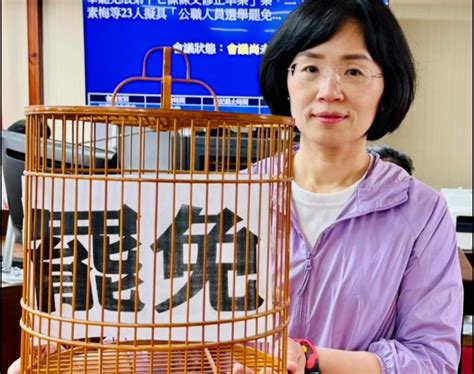 記者 梅花新聞網 沈世鵬綜合報導 蘇巧慧表態參選新北市長 議員諷：先關注新北缺乏中央資源 ｜ 梅花新聞網