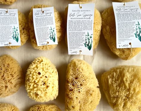 Luffa Organic Farm Grown Natural Loofah Sponge Organic Loofah Sponge