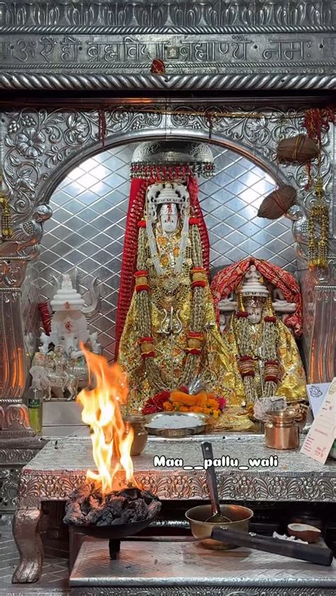 Bhanu Pujari Shree Pallu Dham Maapalluwali • Instagram Photos And