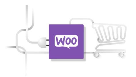 What Are The Top 5 Must Use Plugins Wordpress For Your Business