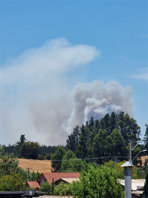 Ñuble Declaran Alerta Roja Para La Comuna De El Carmen Por Incendio