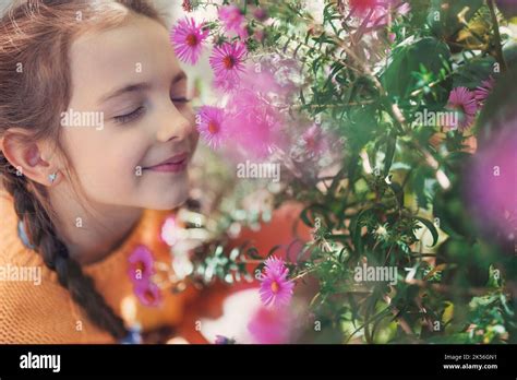 Beautiful Girl Farmer Woman Smells The Aroma Of Blooming Pink Flowers In A Flower Garden Stock