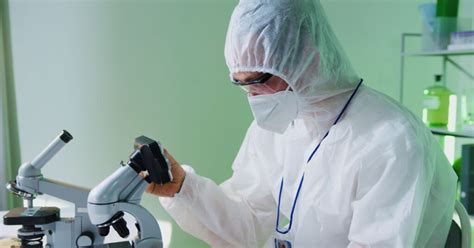 Whats Phylogenetic Analysis In Bioinformatics