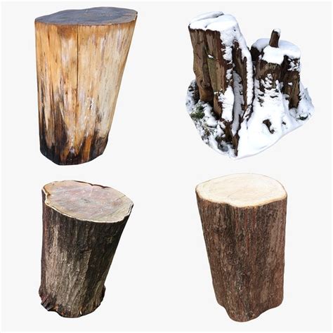 Tree Stump D Models For Download TurboSquid