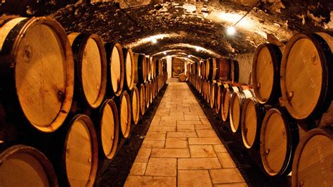 Las 5 Bodegas Más Antiguas De España The Luxonomist