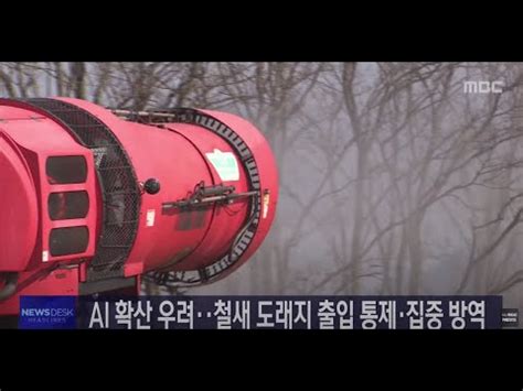 AI 확산 우려 철새 도래지 출입 통제 집중 방역 코로나19 재유행세 심각 트윈데믹 우려 고3 수험생 코로나19 확진