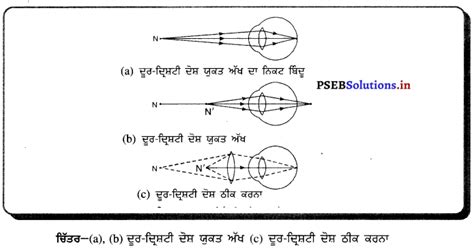 PSEB th Class Science Solutions Chapter ਮਨਖ ਅਖ ਅਤ ਰਗ ਬਰਗ ਸਸਰ PSEB Solutions