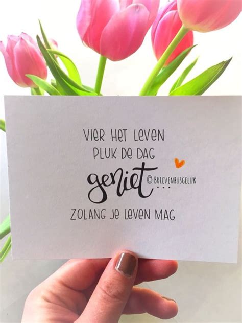 Vier Het Leven Brievenbusgeluk Nl Verjaardagskaart Citaten