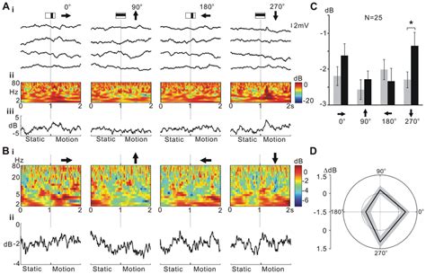 L1CNs Respond Selectively To A Single Bar Moving In A Downward