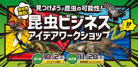 見つけよう、昆虫の可能性！昆虫ビジネスアイデアワークショップ 一般社団法人switch