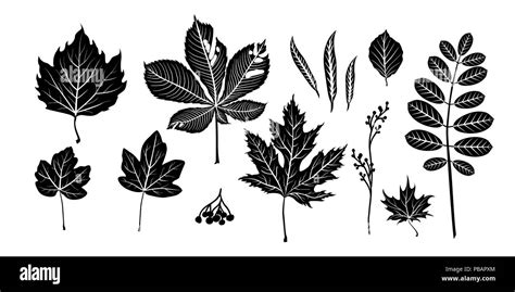 Black Leaves Stock Vector Images Alamy