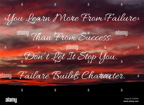 Inspirational Motivational Quote You Learn More From Failure Than From