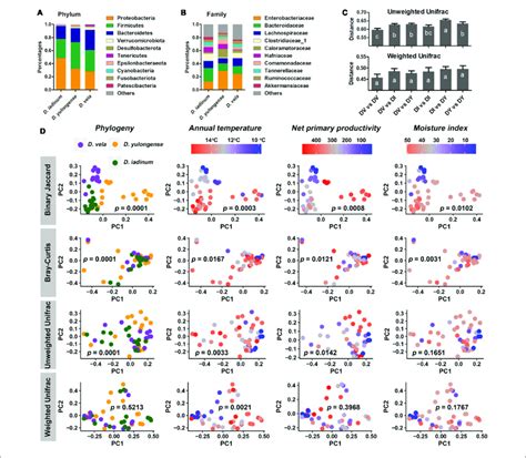 Influences Of Host Phylogeny And Climatic Factors On The Gut