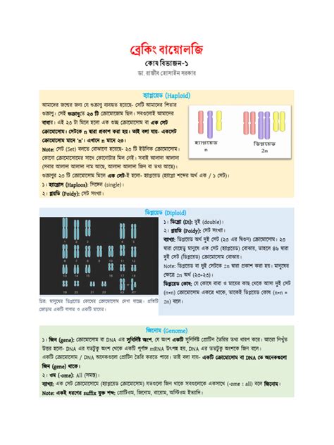 Breaking Biology Cell Division 1 Pdf